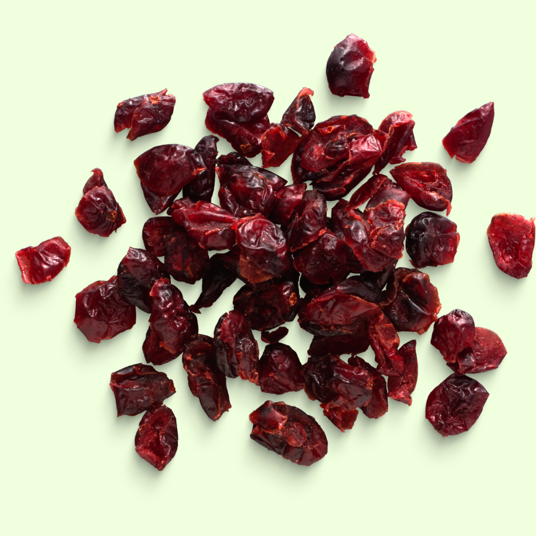 Dry Cranberry – Nutlet